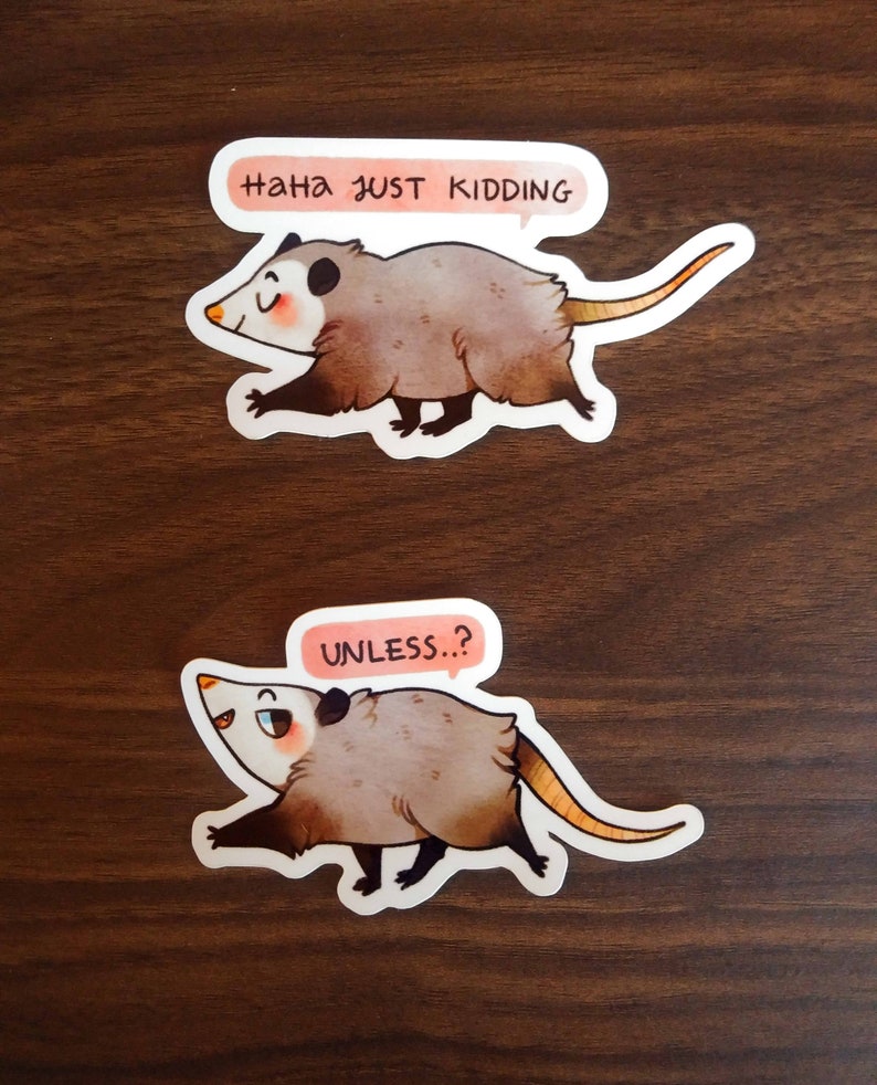 Possum Sticker Set - Etsy