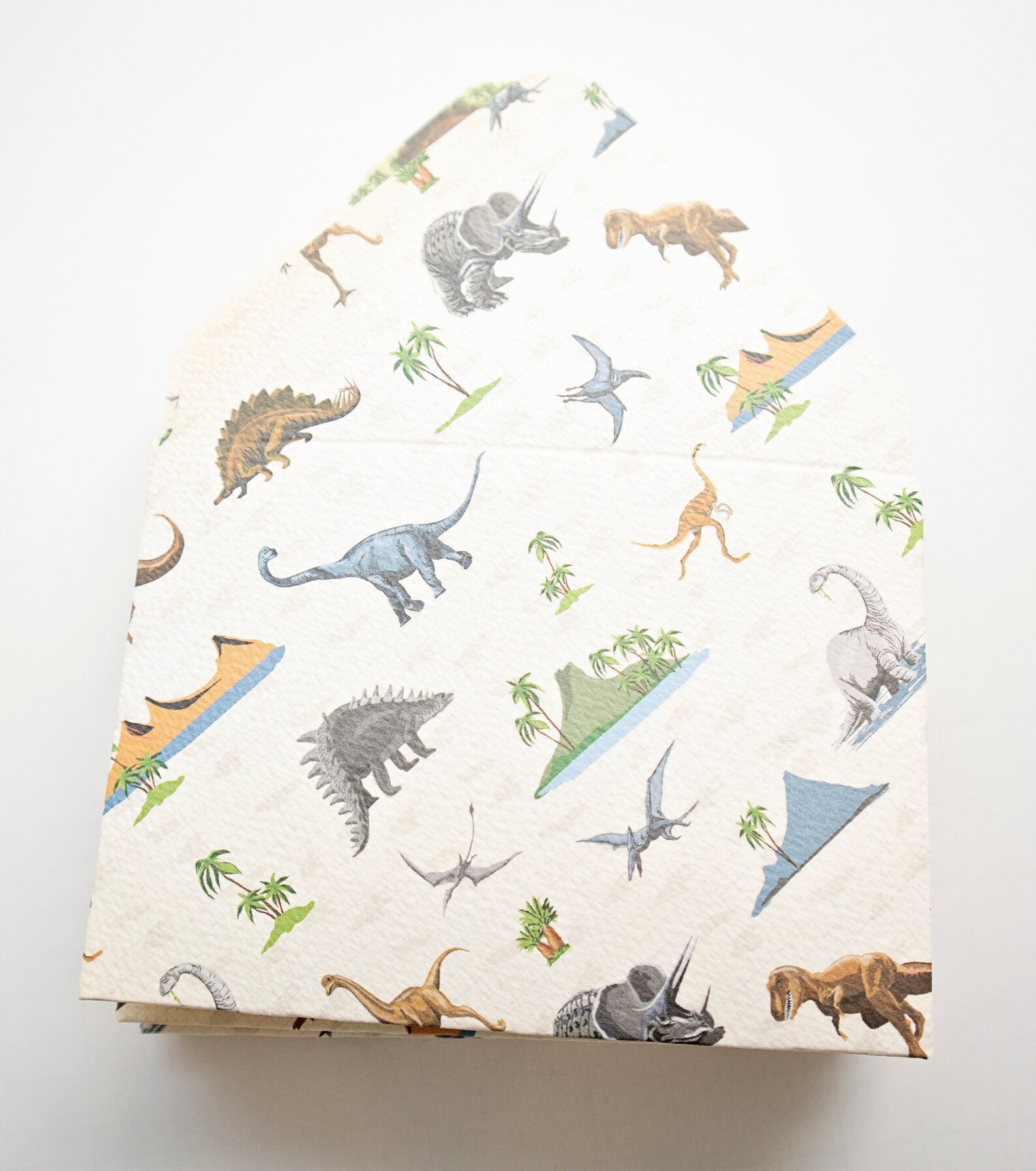 Dinosaurs Envelopes, Tip Envelopes, Housekeeping, Thank You, Small ...