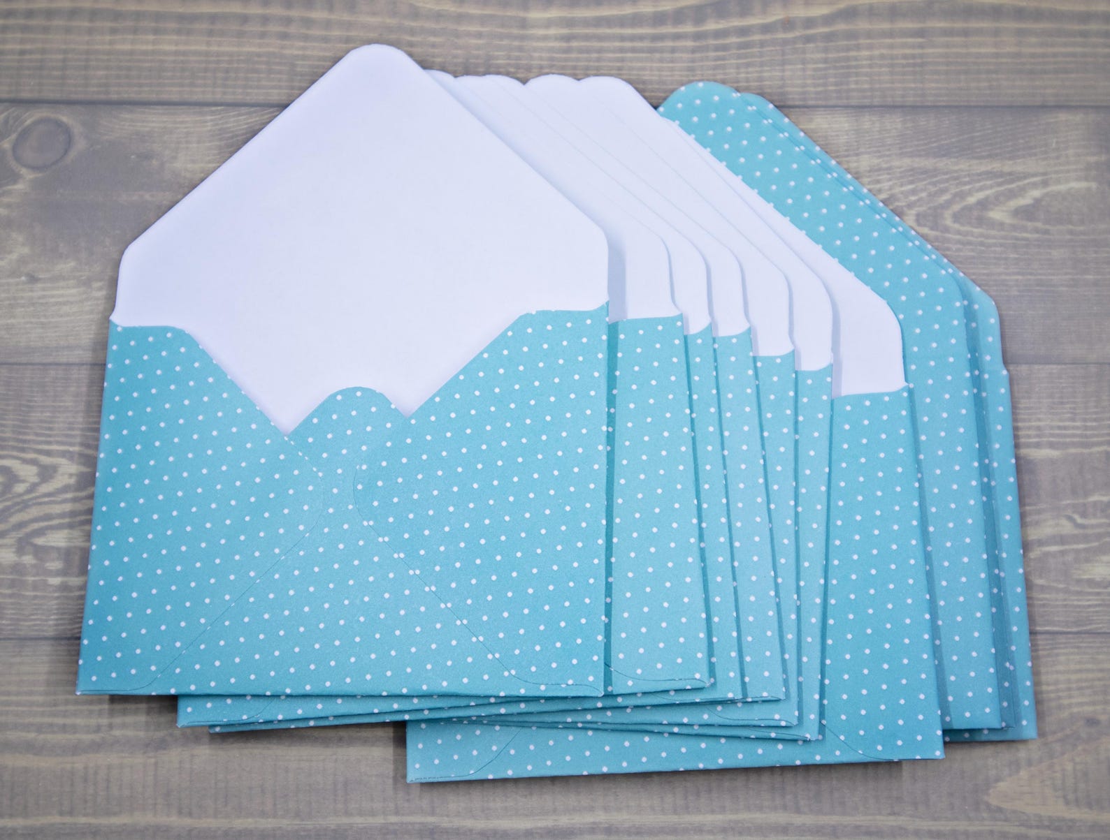Blue White Polka Dot Thank You Envelopes, Tip Envelopes, Housekeeping ...