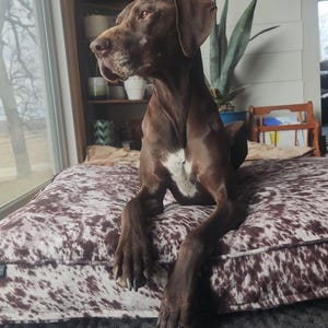 Custom Dog Bed With Performance Faux Cowhide, Luxury Cushion, Cow Print ...
