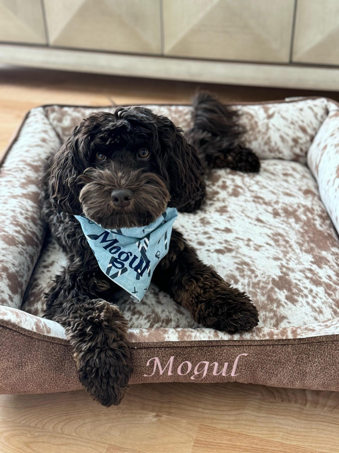 Rustic Chic Cow Print Dog Bed - Personalized Western Style Pet Bed With ...