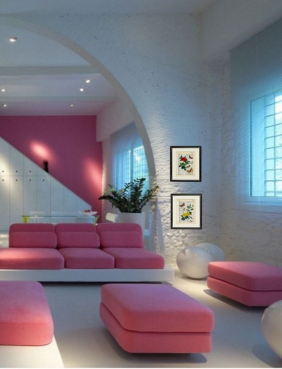 SEA LIFE SHELL Dictionary Art Print Nautical Print - Etsy