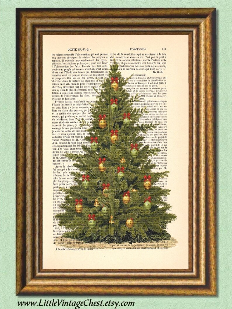 EVERGREEN TREE Fir Tree Dictionary Art Print Botanical | Etsy