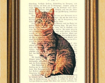 MY PERSIAN CAT dictionary Art Print Wall Decor vintage Book | Etsy