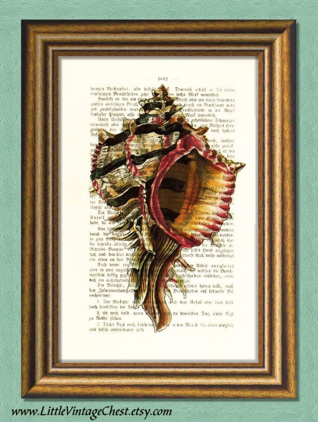 SEA LIFE SHELL Dictionary Art Print Nautical Print Upcycled Antique ...