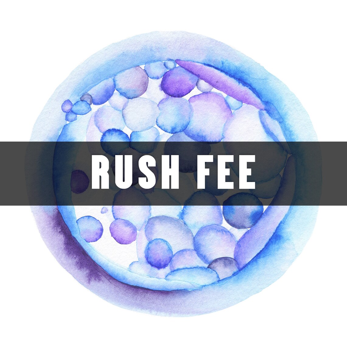 Rush Fee Order for Embryo Watercolor - Etsy