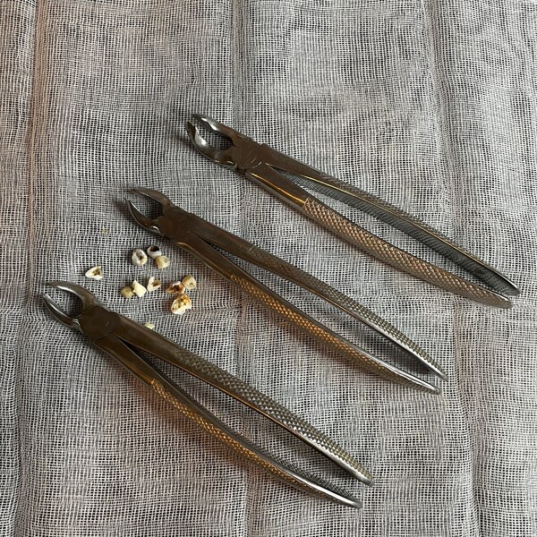 Antique Forceps - Etsy