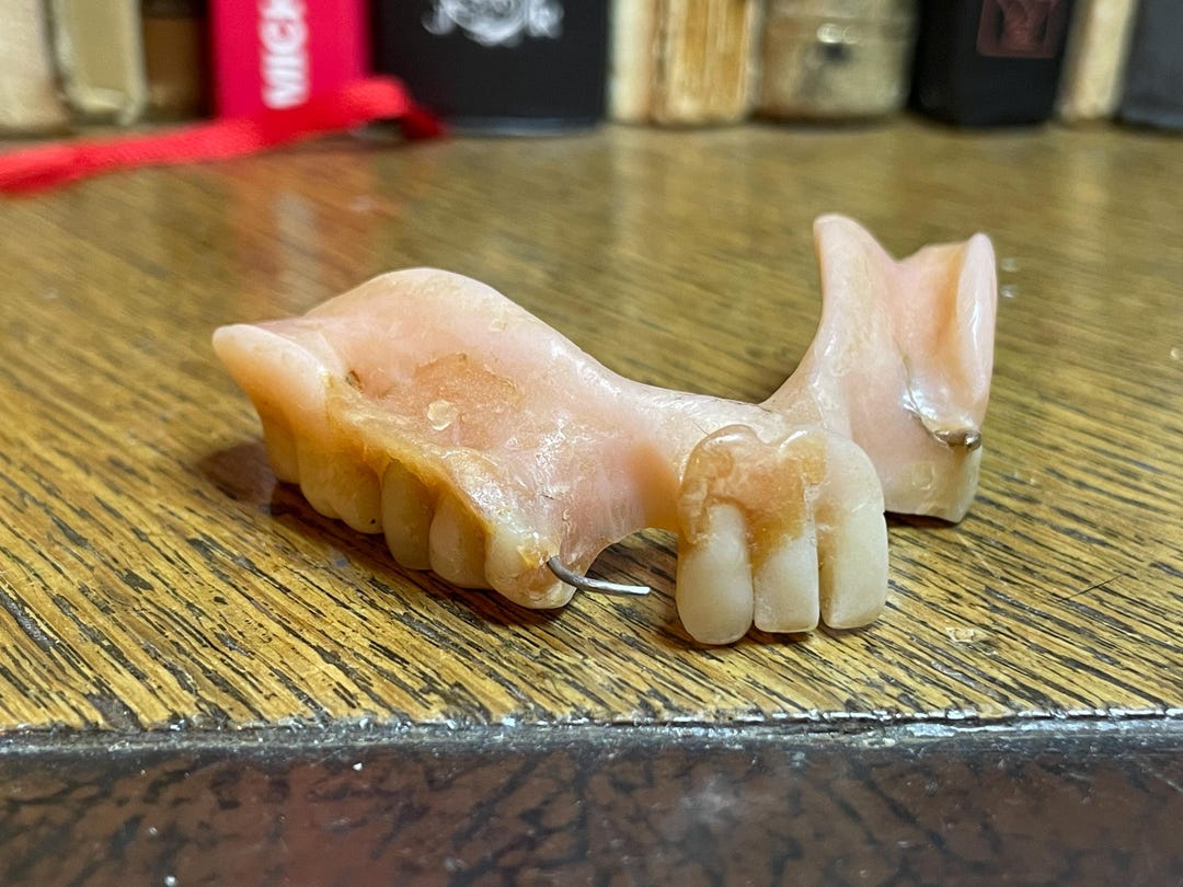 Vintage Lower Teeth Dentures. - Etsy