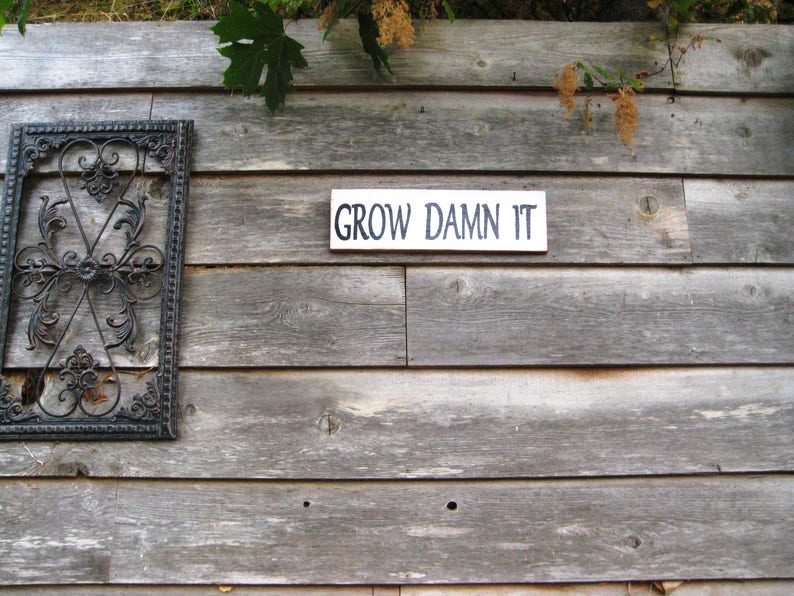 Garden Signgrow Damn Itrustic Signwood Signgarden - Etsy