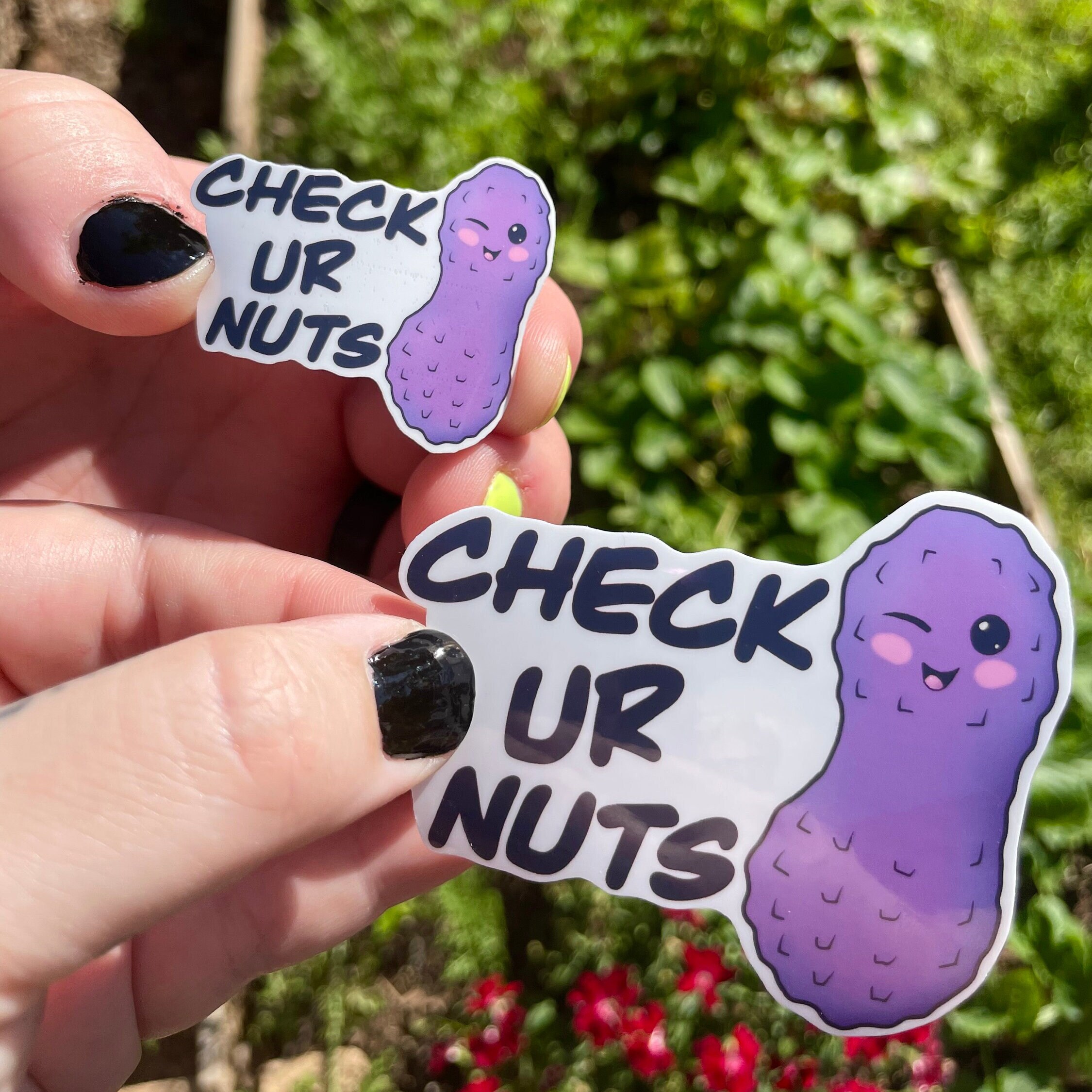 Purple Peanut Check Ur Nuts Sticker for Water Bottles, Laptops ...