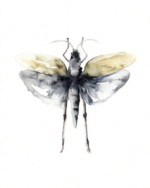 Locust Flying Drawing