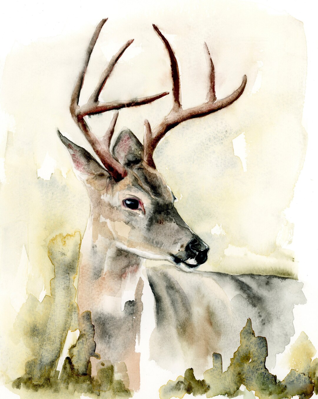 Whitetail Deer Buck Wildlife Canvas Art Print Reproduction Painting by ...