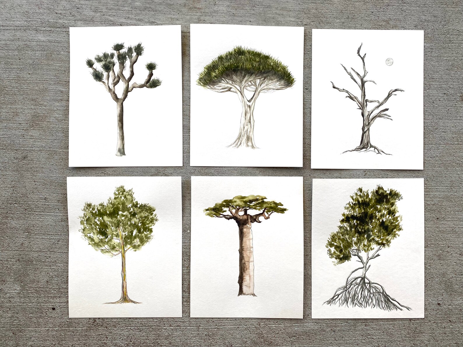 Baobab Tree Painting Original 8 X 10 Inch Watercolor Tree - Etsy