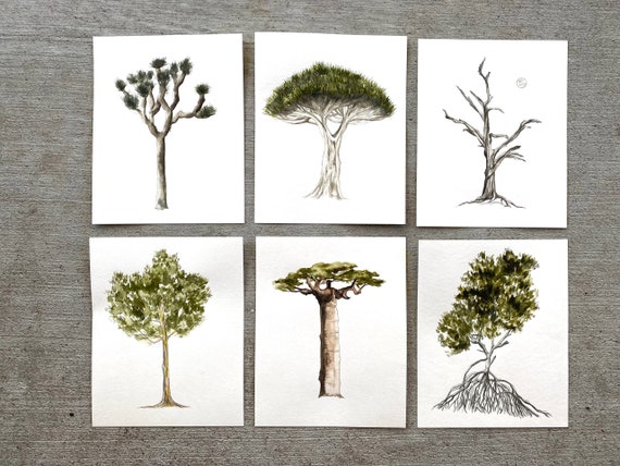 Visual Arts Tree 8x10 Gem Art Craft Supplies & Tools Photography etna ...