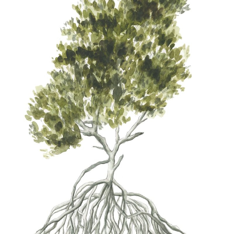 Original Tree Study - Etsy