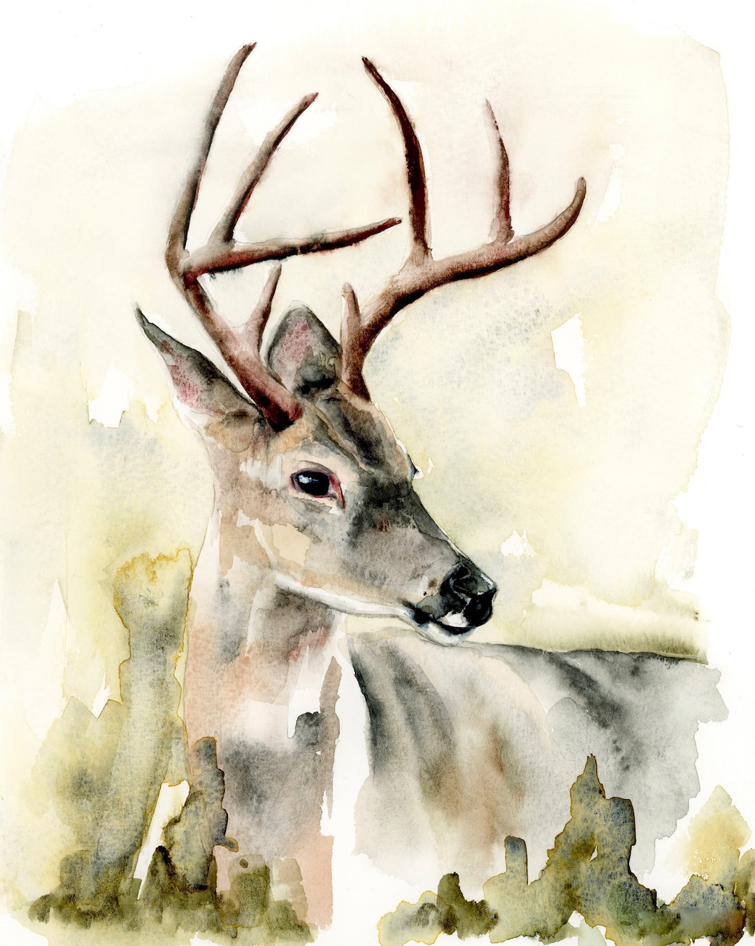 Whitetail Deer Watercolor Original Painting Wildlife Portrait - Etsy