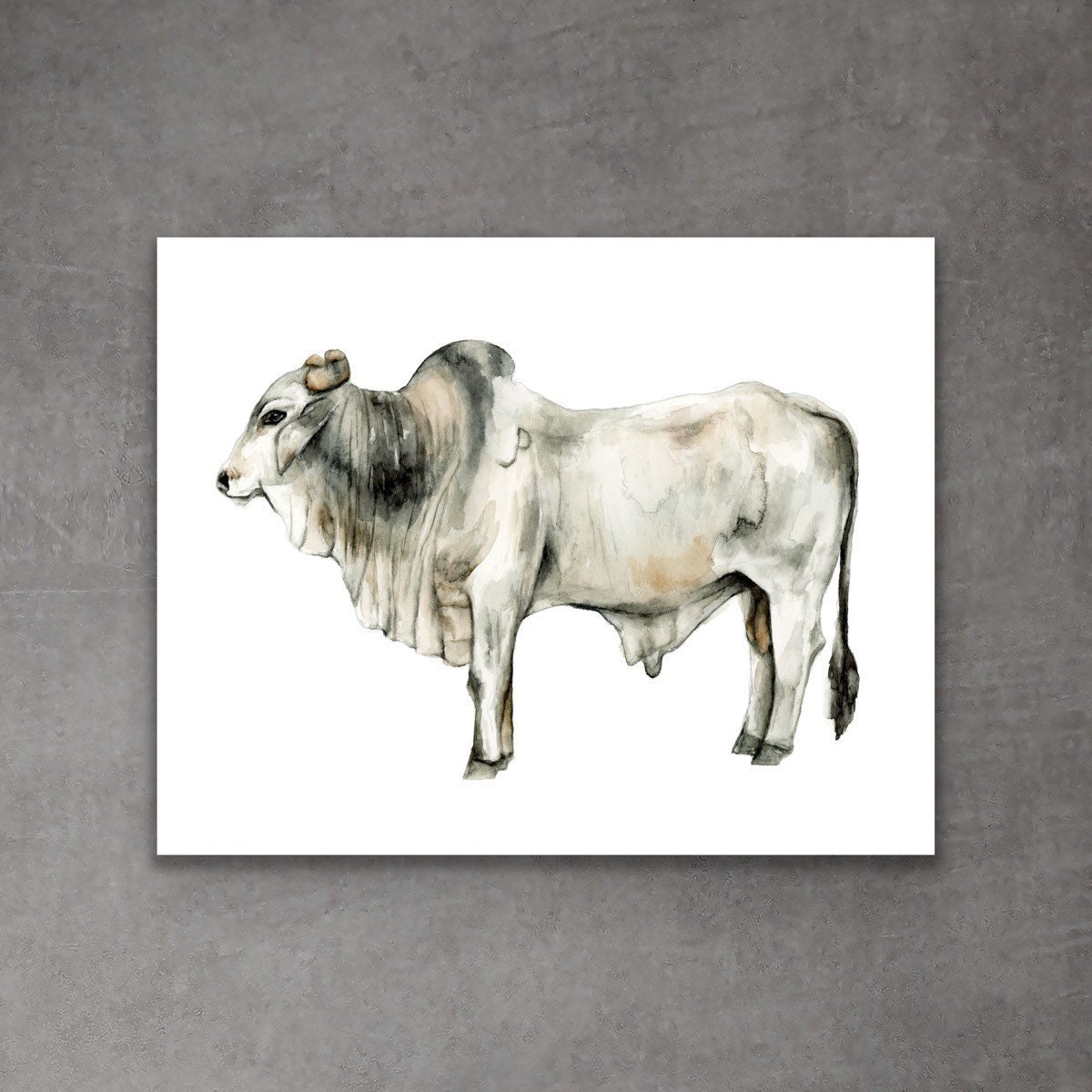 Brahman Calf Cow Painting