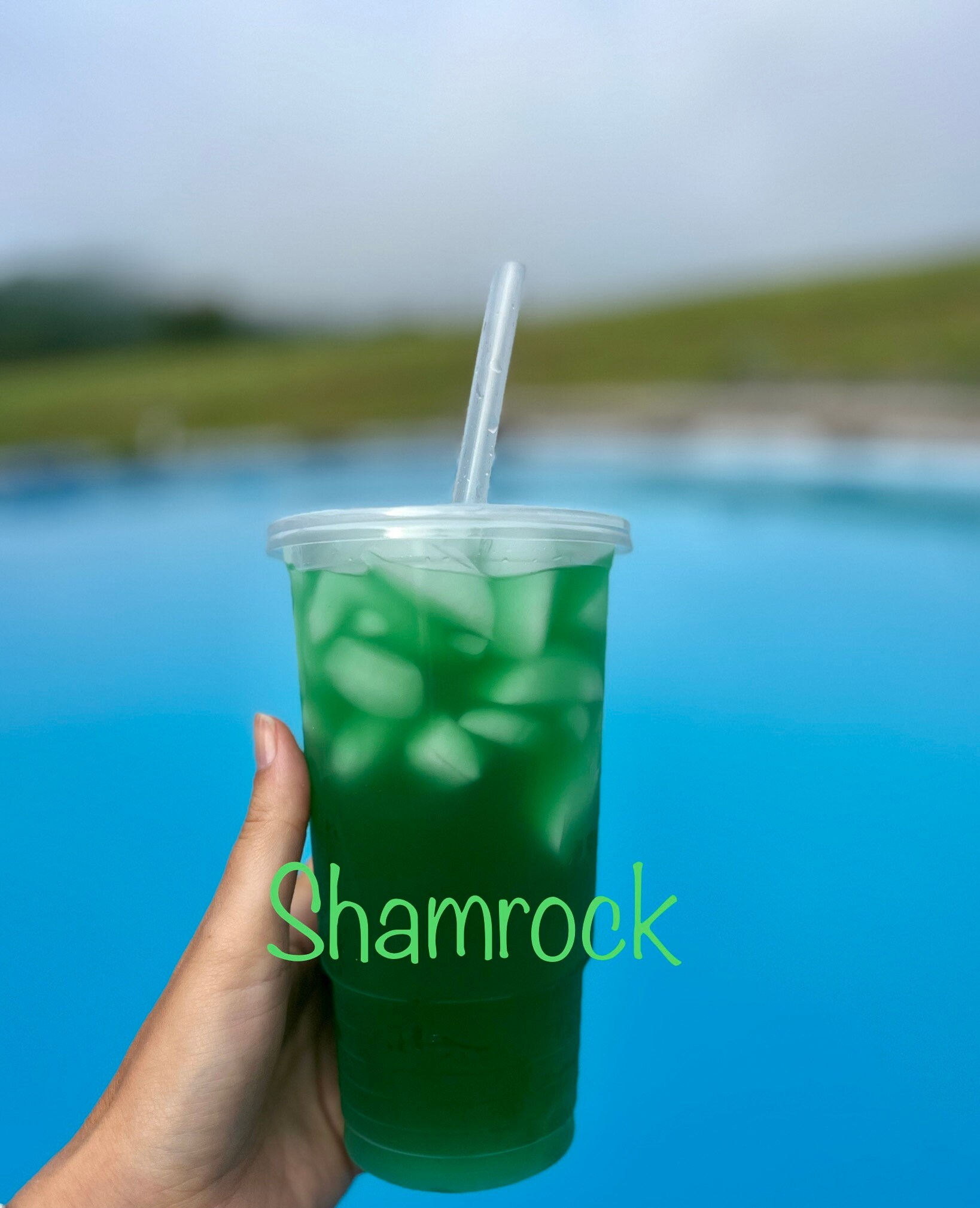 Loaded Tea Energy Tea to Go Tea Kits Free Shipping Loaded Teas - Etsy