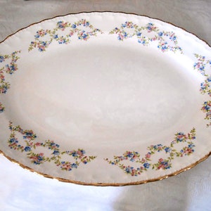 RARE & Lovely, Hand Painted, Vintage Pope Gosser, Blue Belle Pattern ...