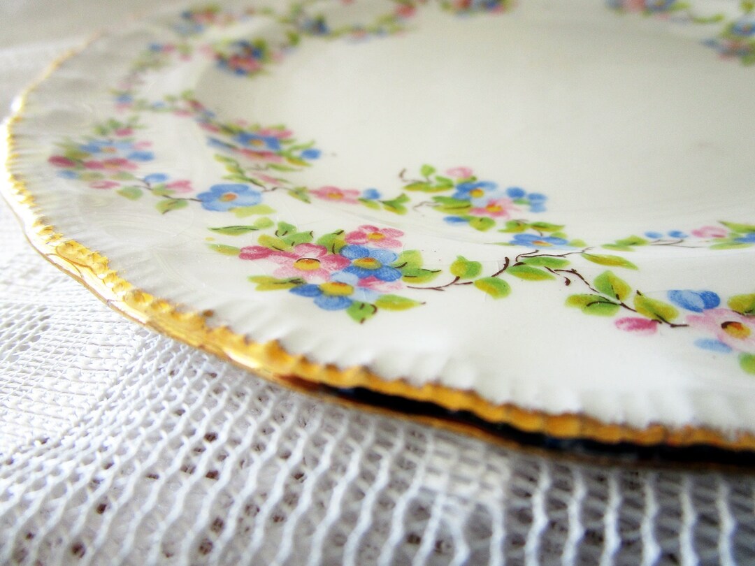 RARE & Lovely, Hand Painted, Vintage Pope Gosser, Blue Belle Pattern ...