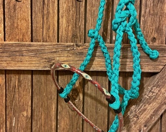 Black With Turquoise Lariat Rope Nose Muletape Halter With Matching 8 ...