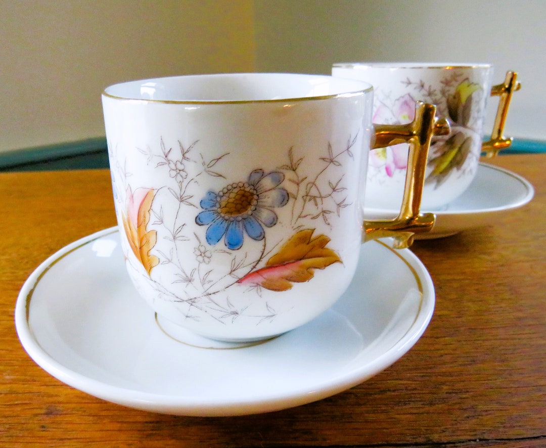 Antique Mustache Cup and Saucer Set: Floral Gold Trim, Bamboo Handle - Etsy