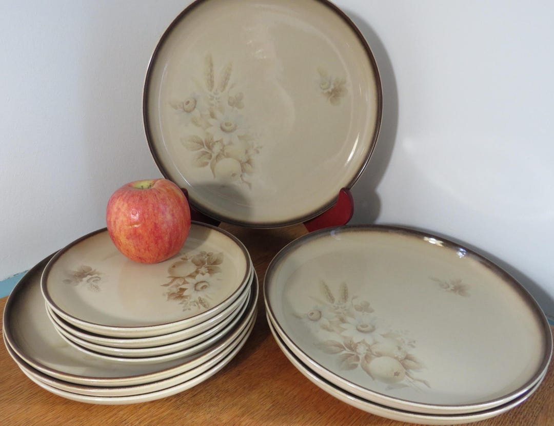 Set of Denby MEMORIES Fine Stoneware, England, 10 Various Sized Plates ...