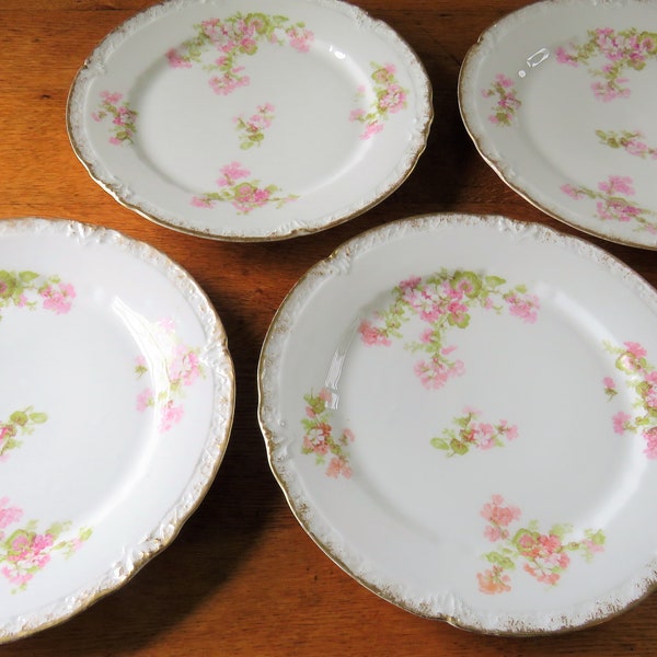 Scalloped Edge Dinner Plates - Etsy