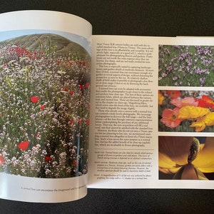 Focus Flowers Discovering Photographing Beauty in Gardens and Wild ...