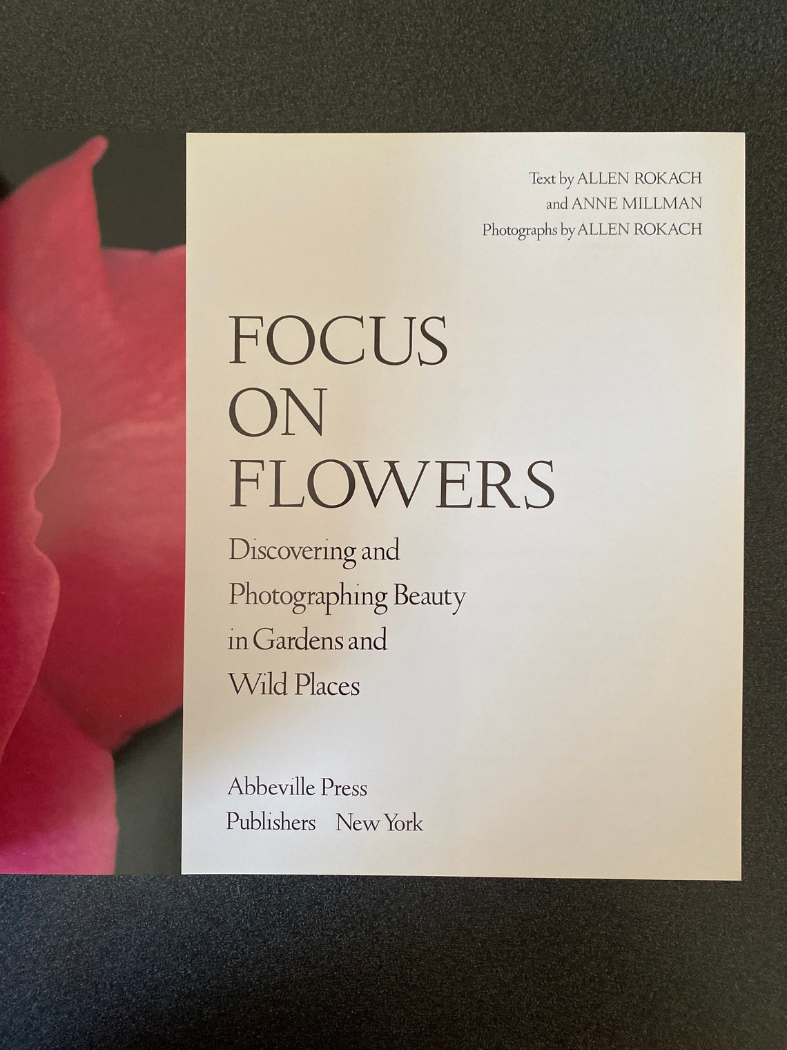 Focus Flowers Discovering Photographing Beauty in Gardens and Wild ...