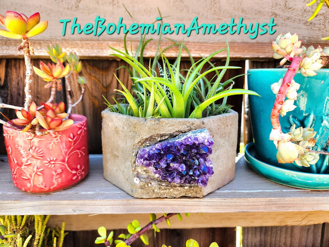 Geode Planter/ Geometric Planters/ Amethyst Geode Pot/ Indoor Succulent ...
