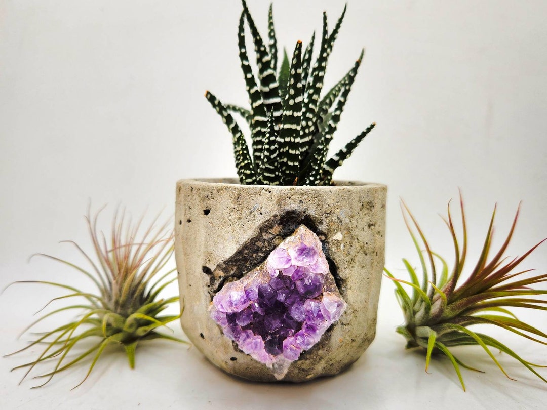 Geode Planter/ Cement Planter/ Small Plant Pot/ Brazilian Amethyst ...