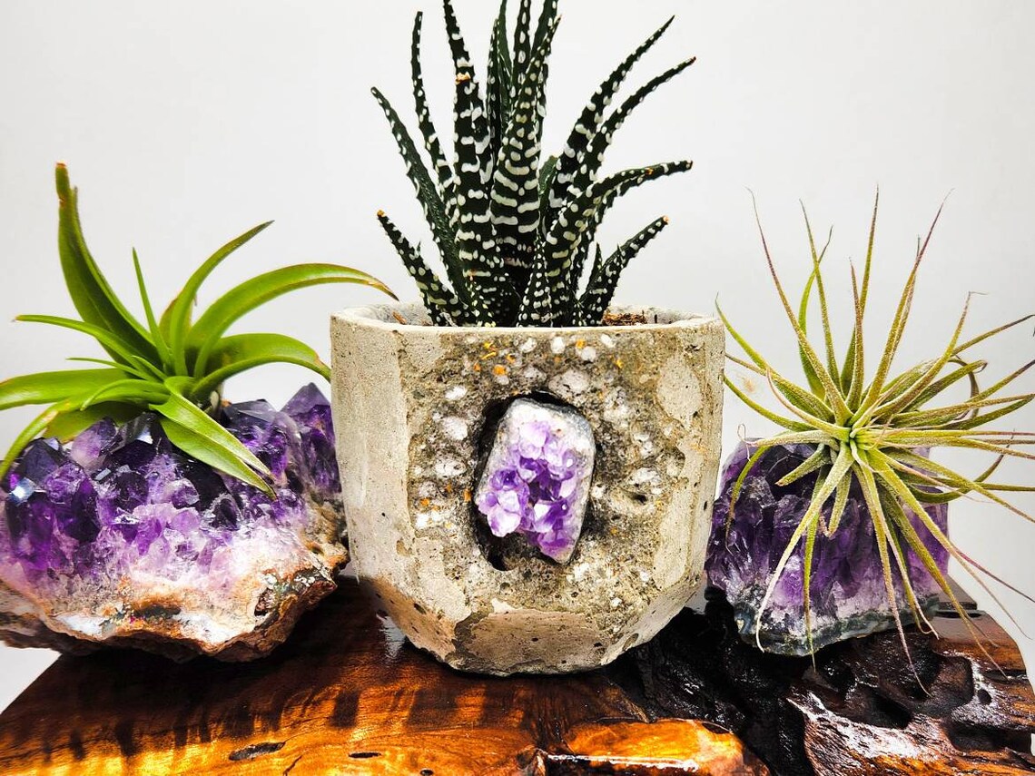 Geode Planter/ Cement Planter/ Small Plant Pot/ Brazilian - Etsy