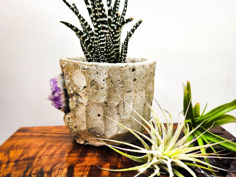 Geode Planter/ Cement Planter/ Small Plant Pot/ Brazilian - Etsy