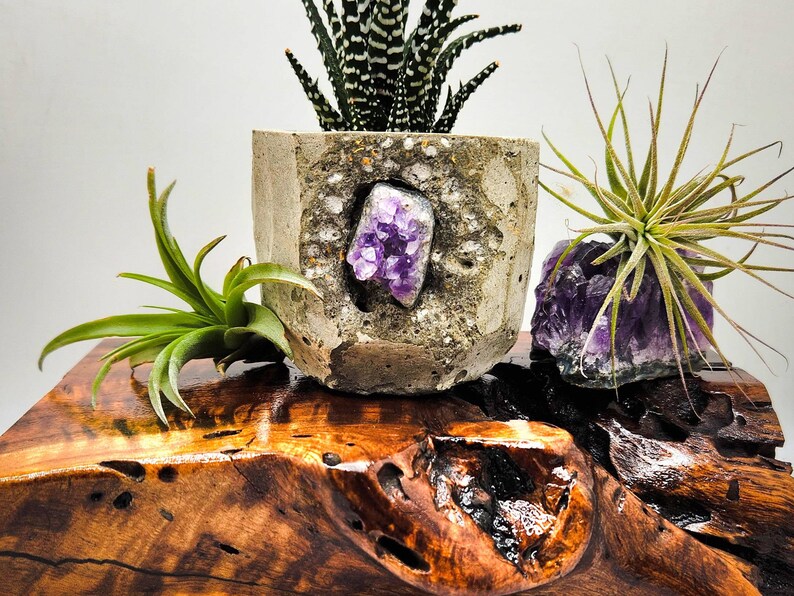 Geode Planter/ Cement Planter/ Small Plant Pot/ Brazilian - Etsy