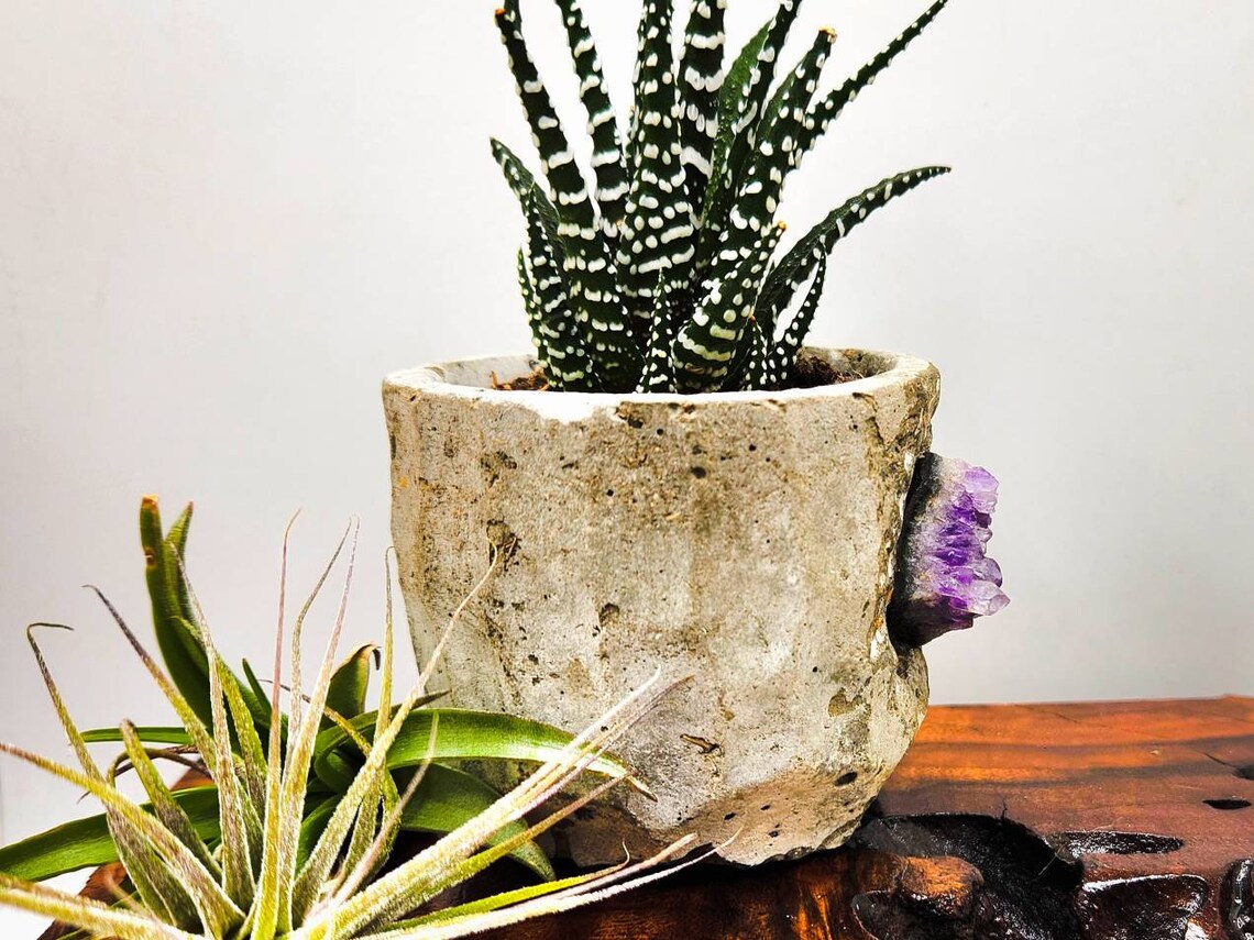 Geode Planter/ Cement Planter/ Small Plant Pot/ Brazilian - Etsy
