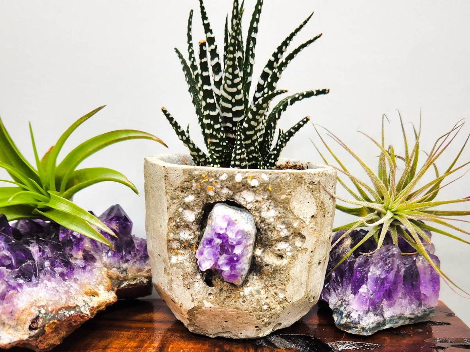 Geode Planter/ Cement Planter/ Small Plant Pot/ Brazilian - Etsy