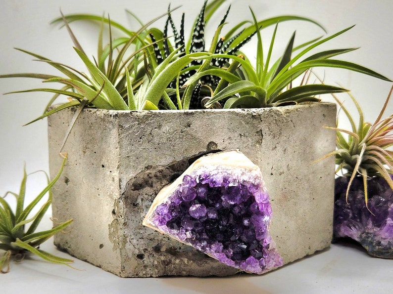 Amethyst Geode Cement Planter, Indoor Succulent Pot (6 Inch) - Etsy