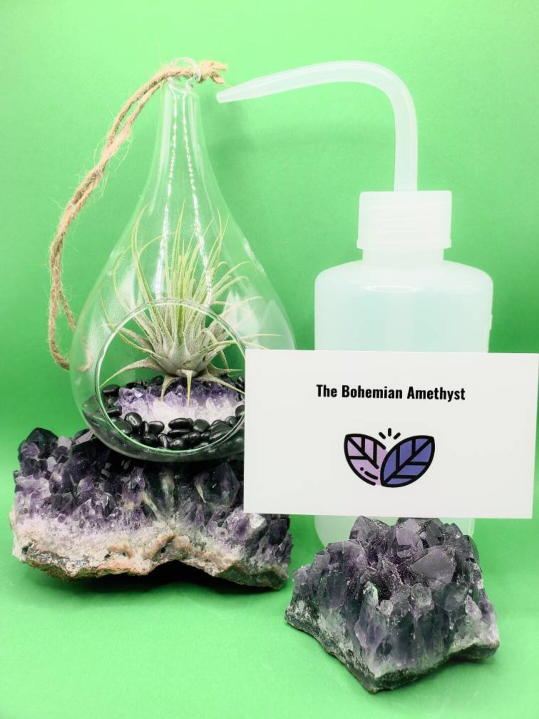 Air Plant Geode Terrarium, Teardrop Hanging Glass Terrarium Kit ...