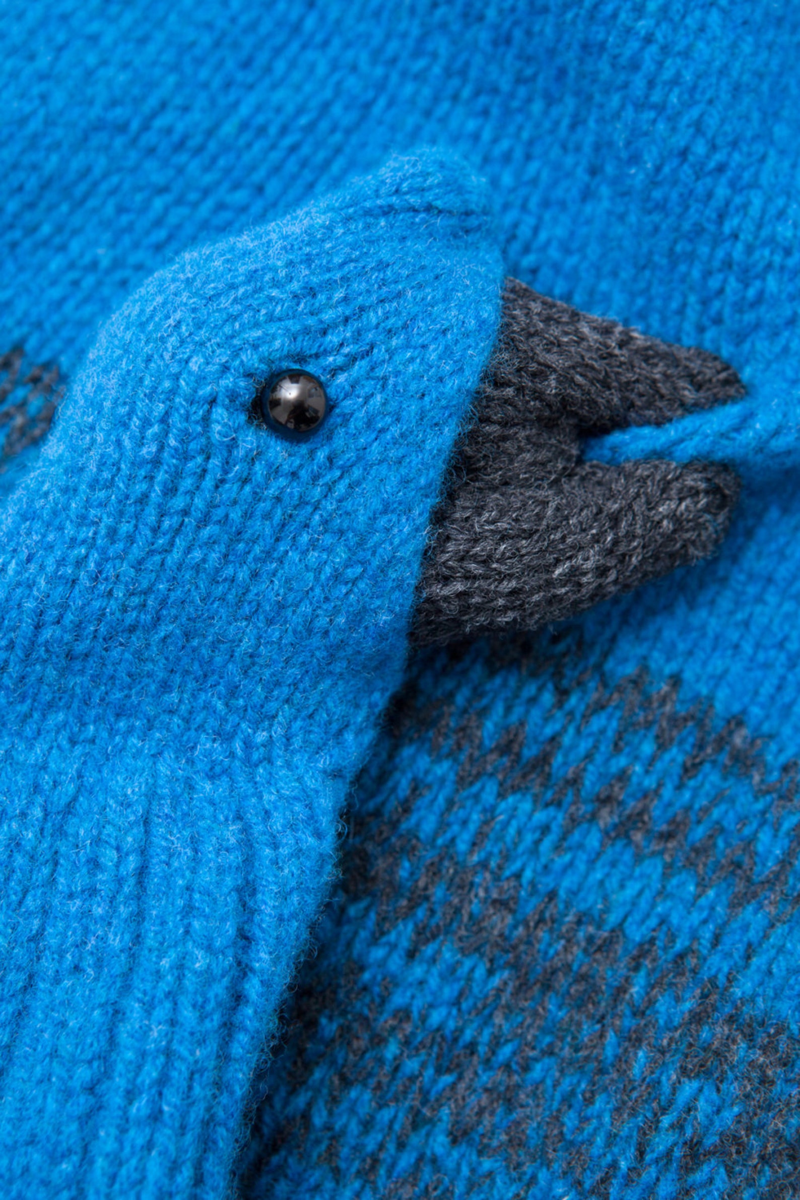 Parrot Scarf for Kids Small Hyacinth Macaw - Etsy