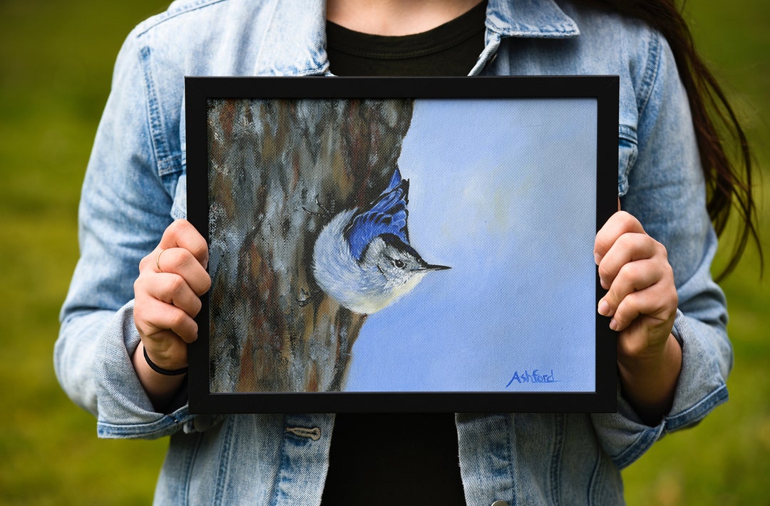 White Breasted Nuthatch Painting, Fine Art Paper Print, Birds, Nuthatch ...