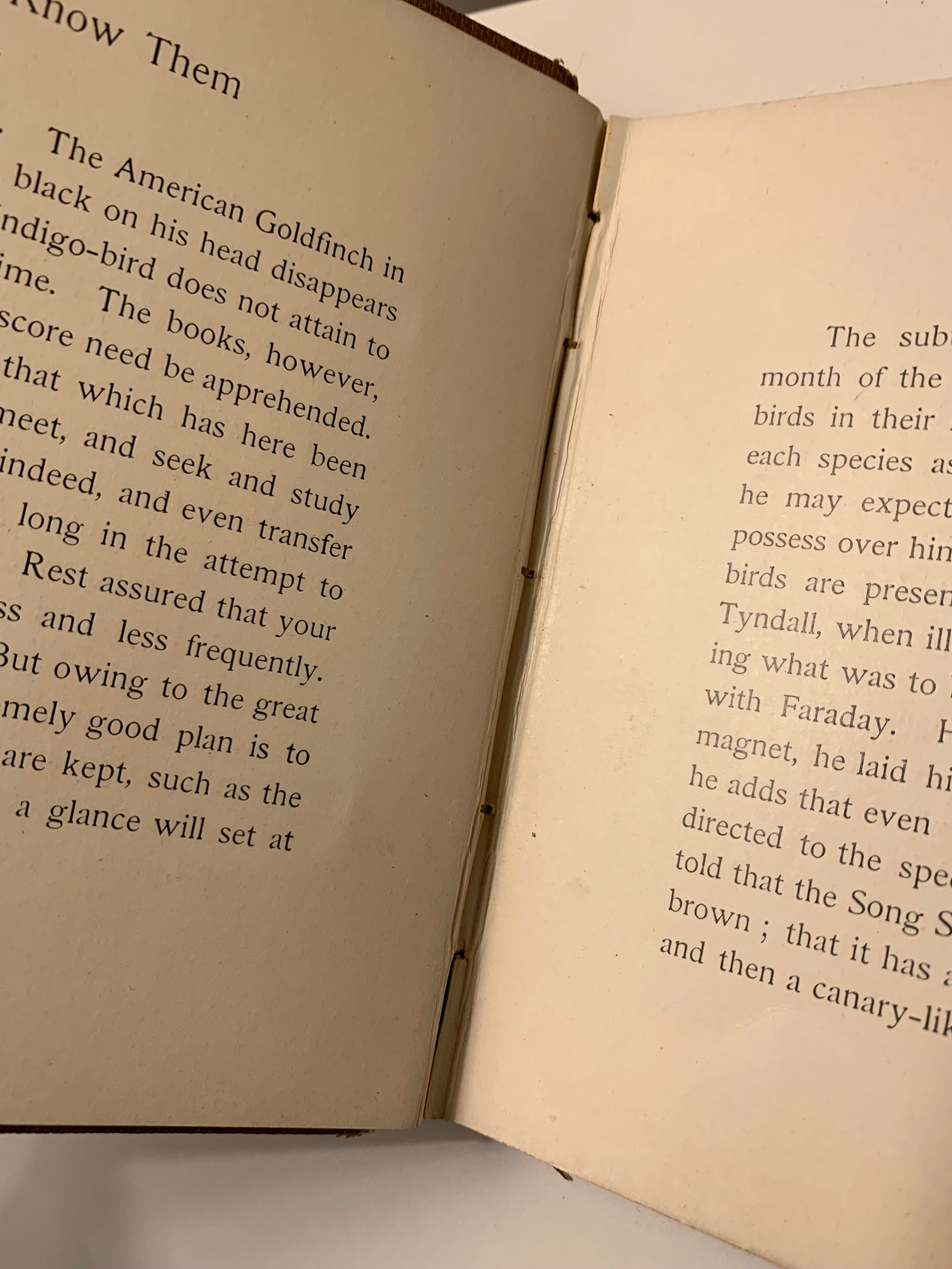 Our Common Birds and How to Know Them FIRST Edition 1891 Charles ...