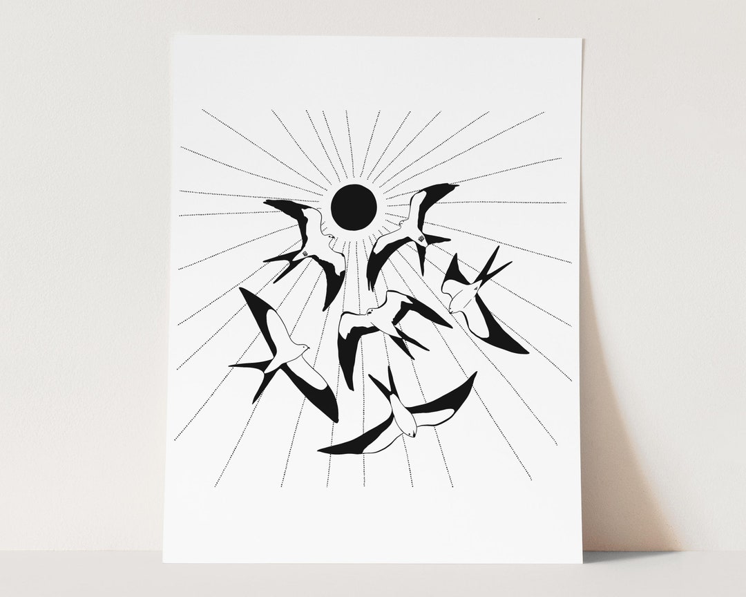 Swallow-tailed Kites - 8.5"x11" Print - Black and White Swallow Tailed ...
