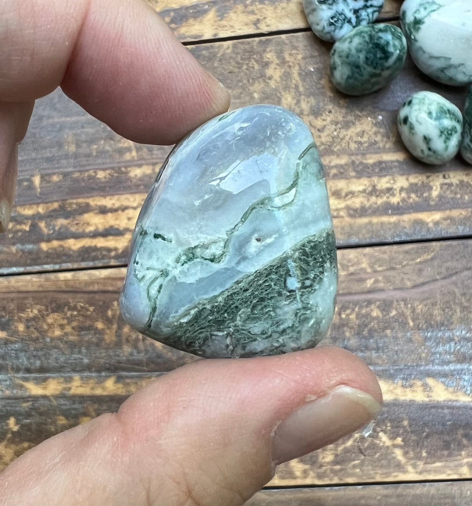 Tree Agate Tumbled Crystals - Etsy