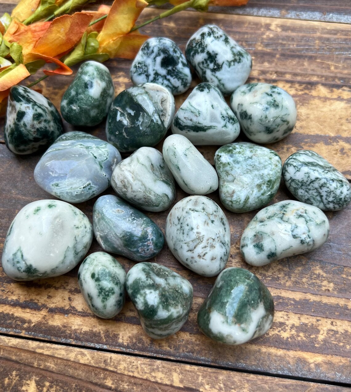 Tree Agate Tumbled Crystals - Etsy