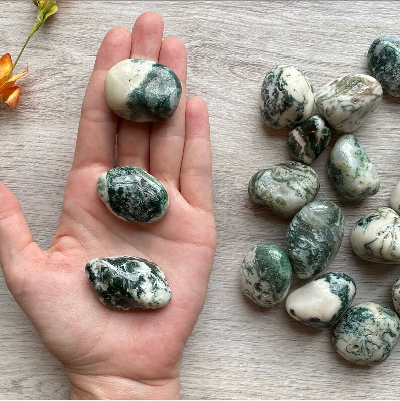 Tree Agate Tumbled Crystals | Etsy
