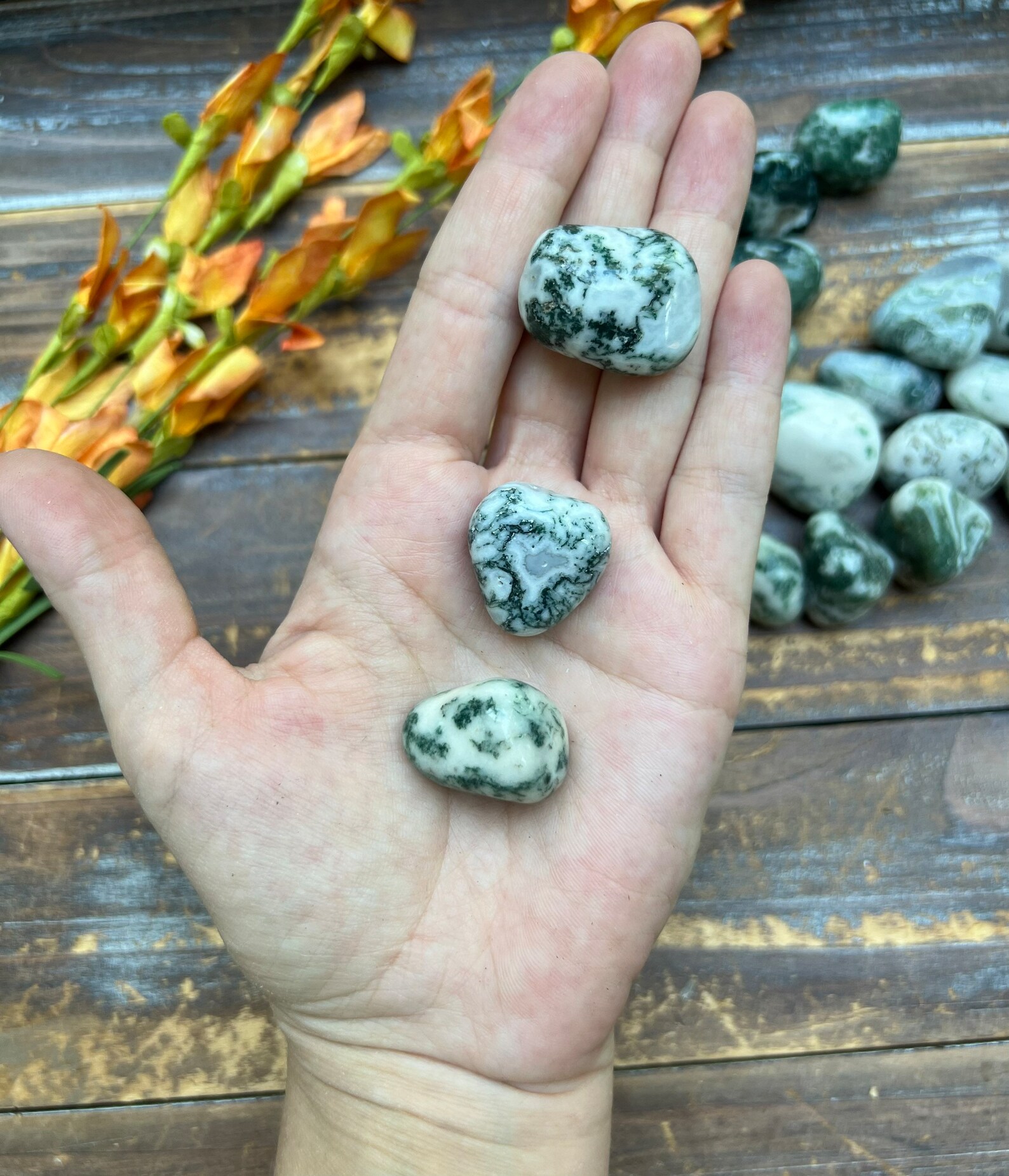 Tree Agate Tumbled Crystals - Etsy