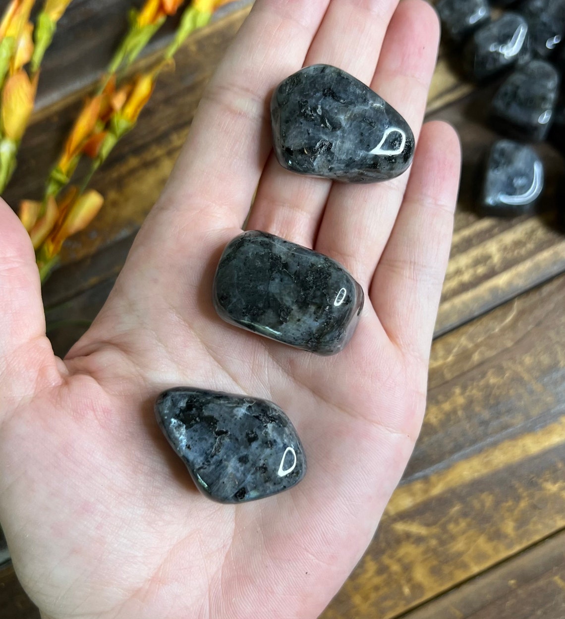 Larvikite Tumbled Crystals - Etsy