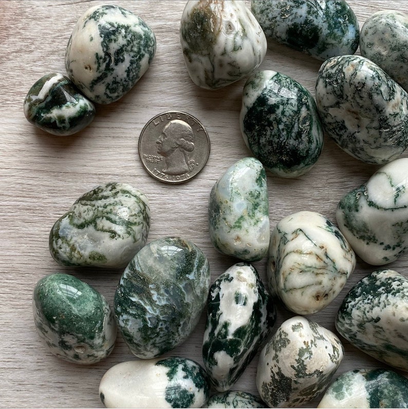 Tree Agate Tumbled Crystals | Etsy