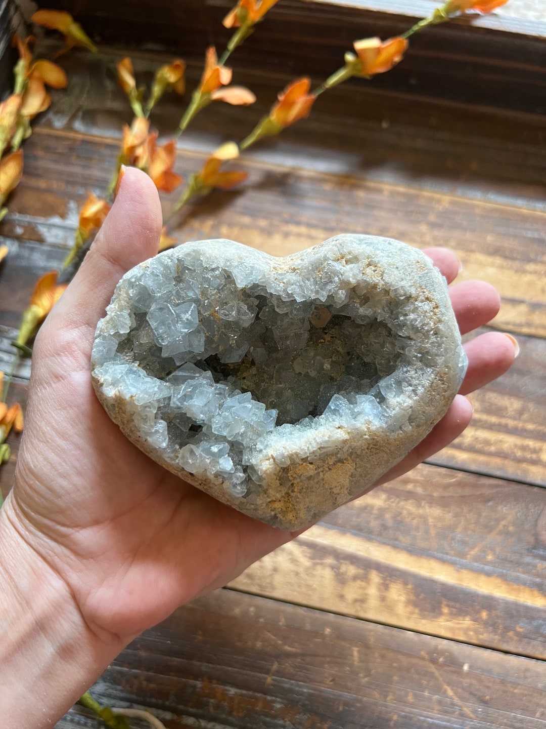 Jumbo Celestite Cluster Heart Crystals - Etsy